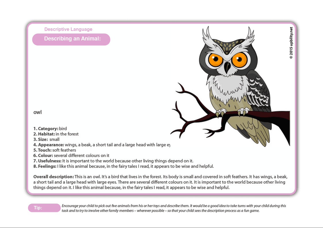 Building Descriptive Skills Step-by-Step – Age: 4+ – Upbility Publications
