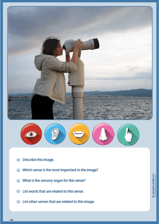 Concepts and vocabulary | THE FIVE SENSES — Upbility Publications