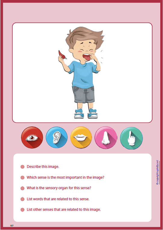 Concepts and vocabulary | THE FIVE SENSES — Upbility Publications