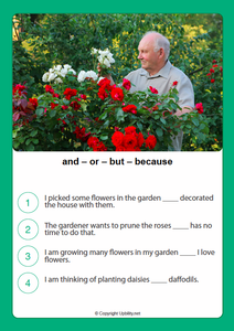 PICTURE CARDS | Fun Conjunction Practice — Upbility Publications