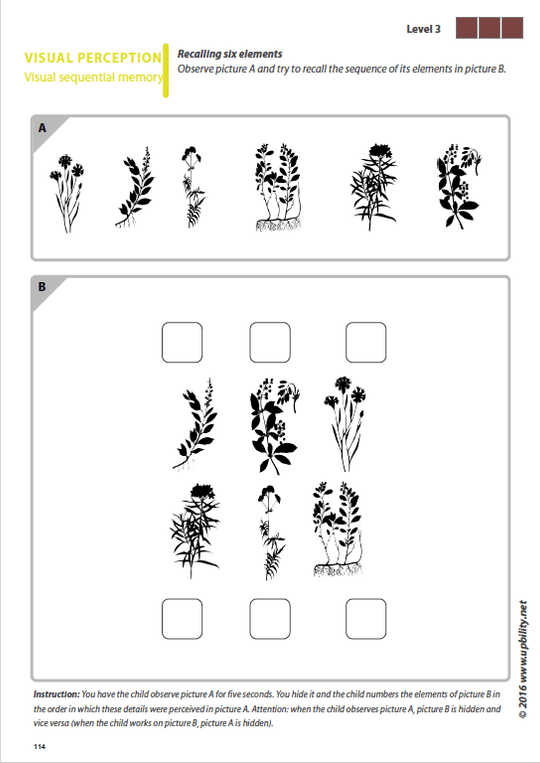 Visual Perception Skills for Children with Dyslexia | PART 5: Visual S ...